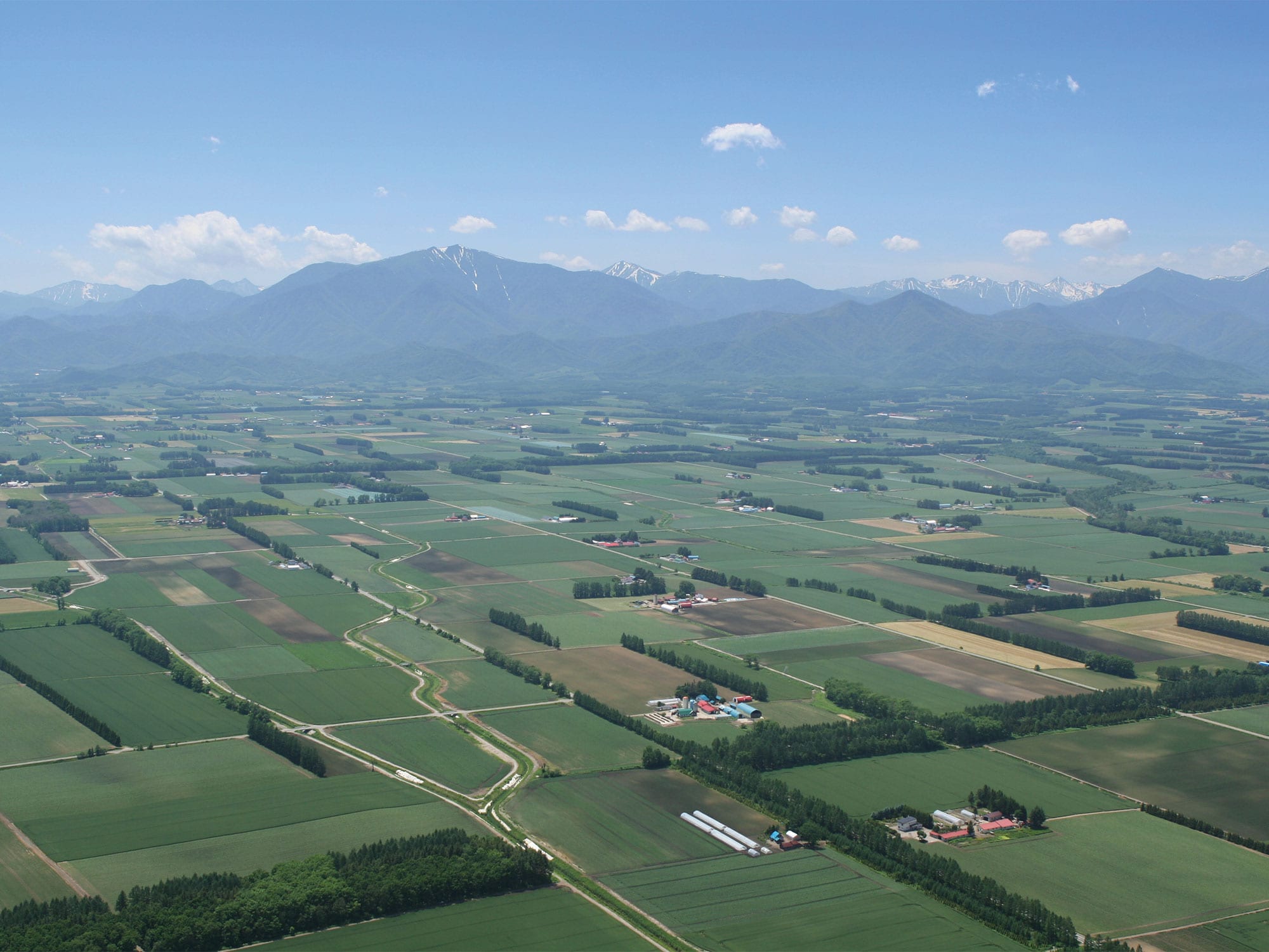 Food Paradise Tokachi | OISHII