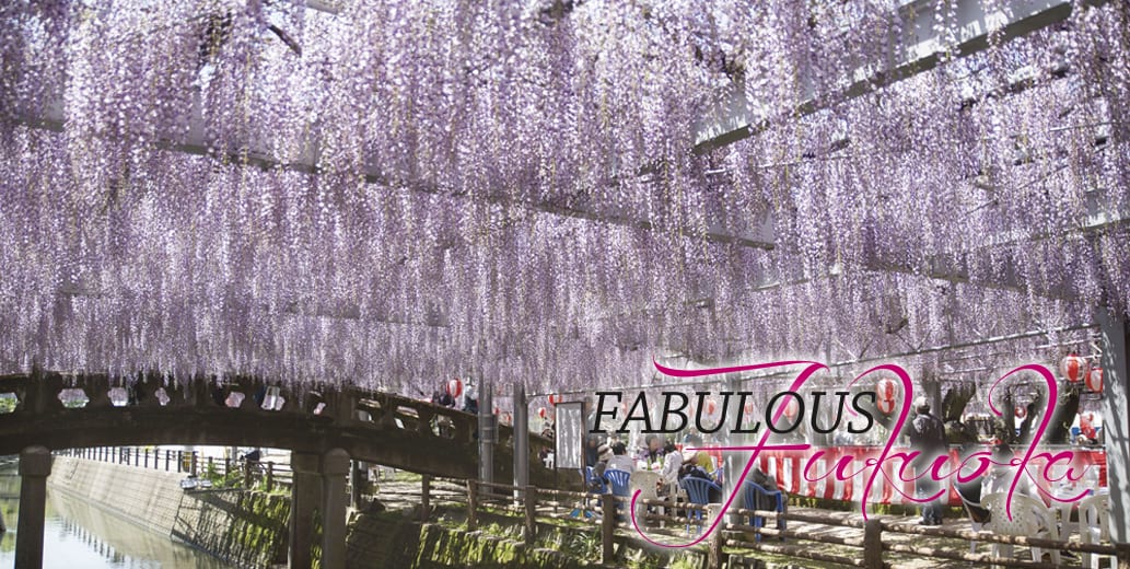 OISHII | Information magazine of Japanese Food & Food Culture, from ...