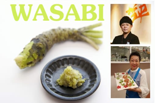 Creative recipes showcase the versatility of wasabi products | Events ...