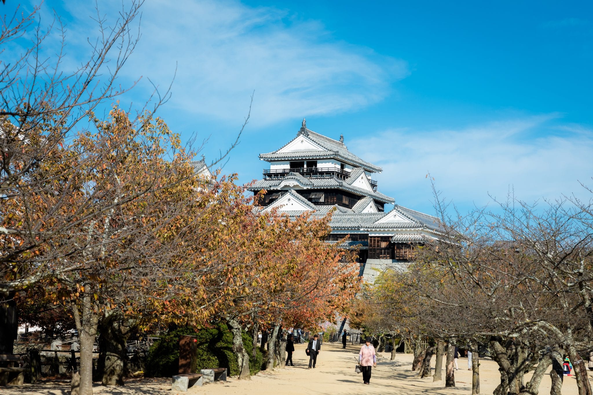 Favourite sights of Ehime Prefecture | OISHII