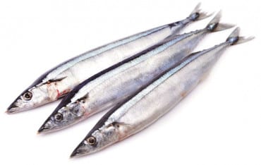 Sanma (Pacific saury) | OISHII